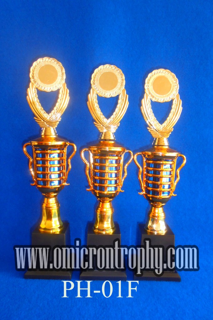 Jual Piala Kecil Satuan Harga Murah - Omicron Trophy